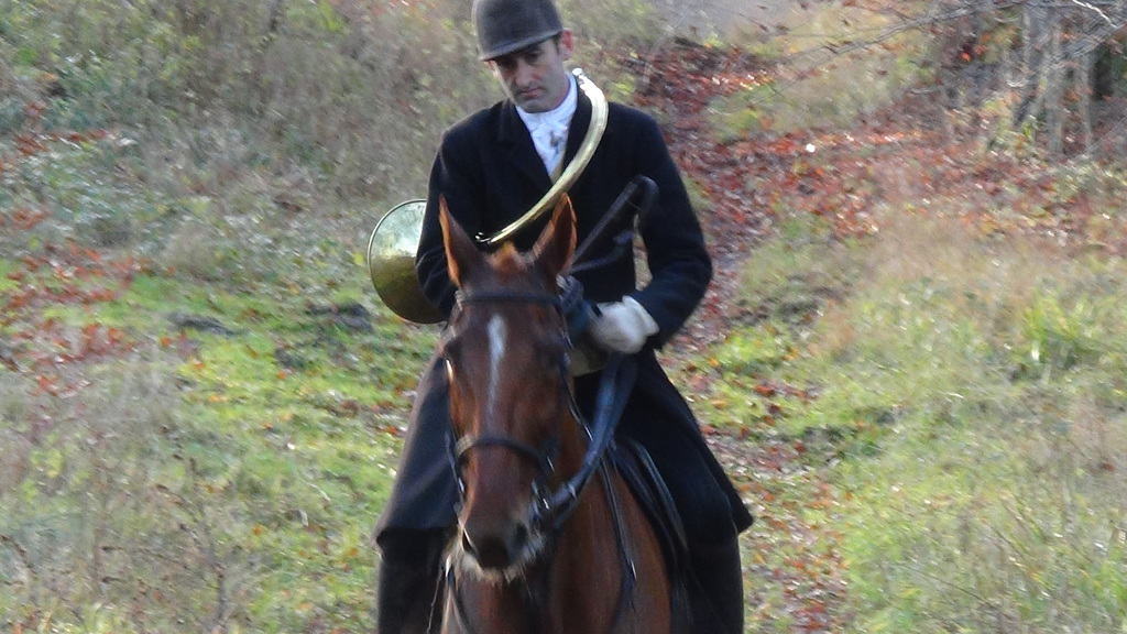 International Action against French Stag Hunt - Hunt Saboteurs Association