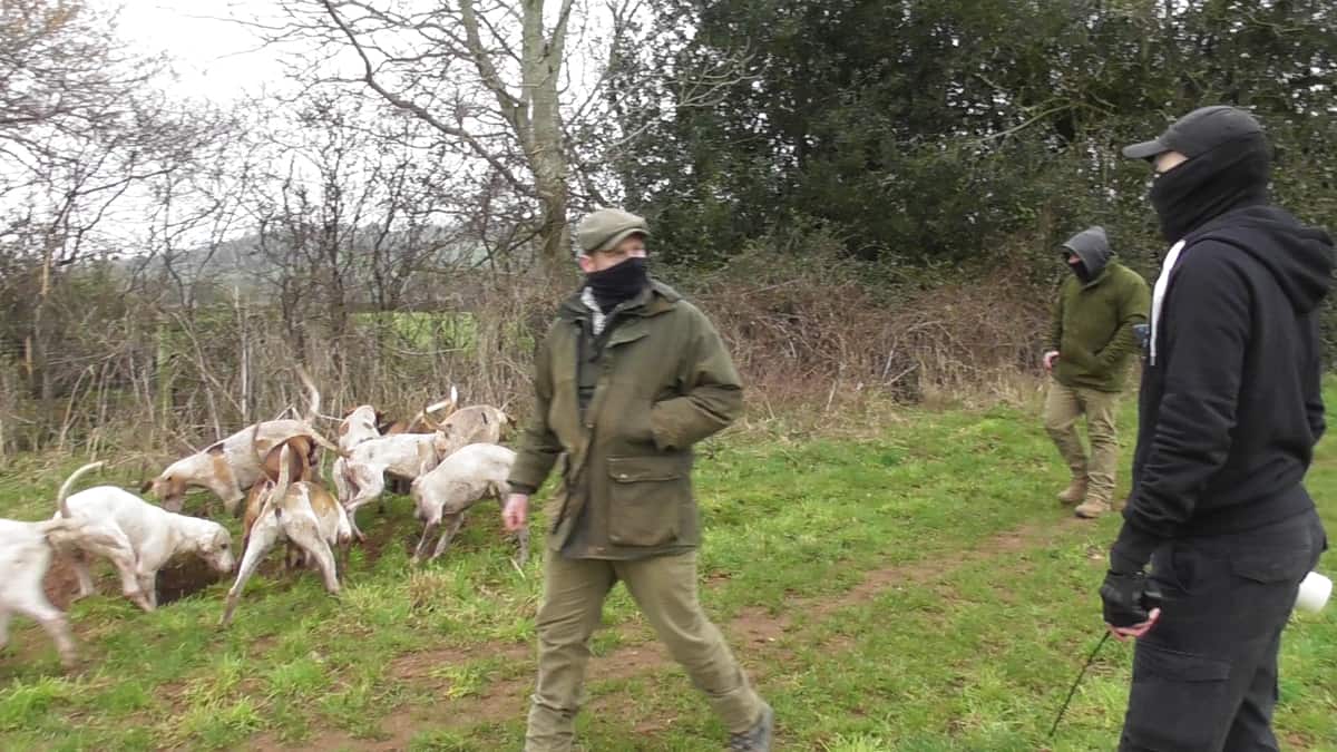 Jacob Rees-Mogg MP Hosts Criminal Fox Hunt - Hunt Saboteurs Association