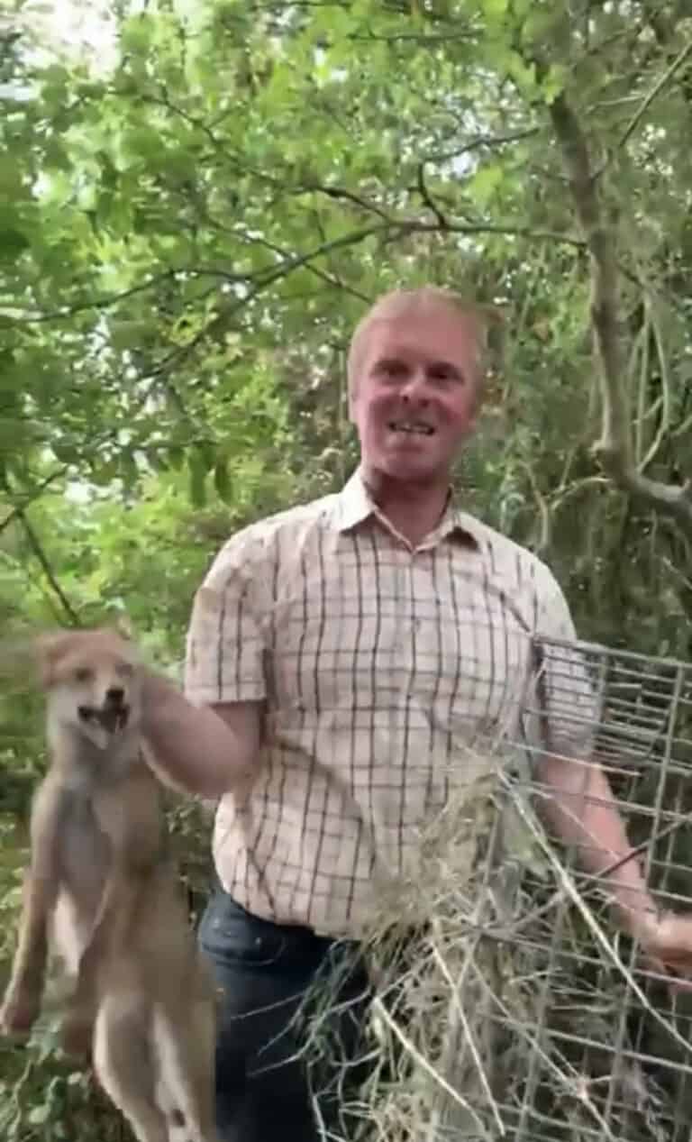 Old Berks Hunt And BHSA Pull Out The Stops To Protect Their Huntsman ...