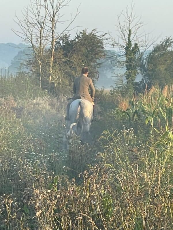 Cubbing: Hunting’s Dirtiest Secret - Hunt Saboteurs Association