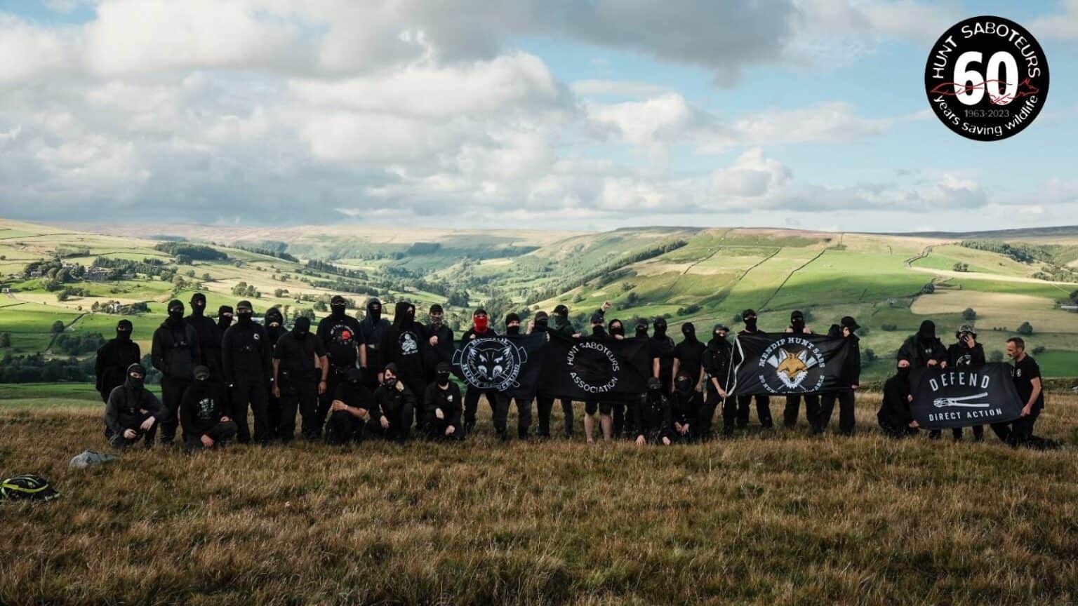 Bare Butts: Shoots Abandoned As Sabs Storm Glorious Twelfth! - Hunt ...