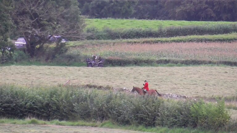 Late Season Cubbing - What Does It Look Like? - Hunt Saboteurs Association