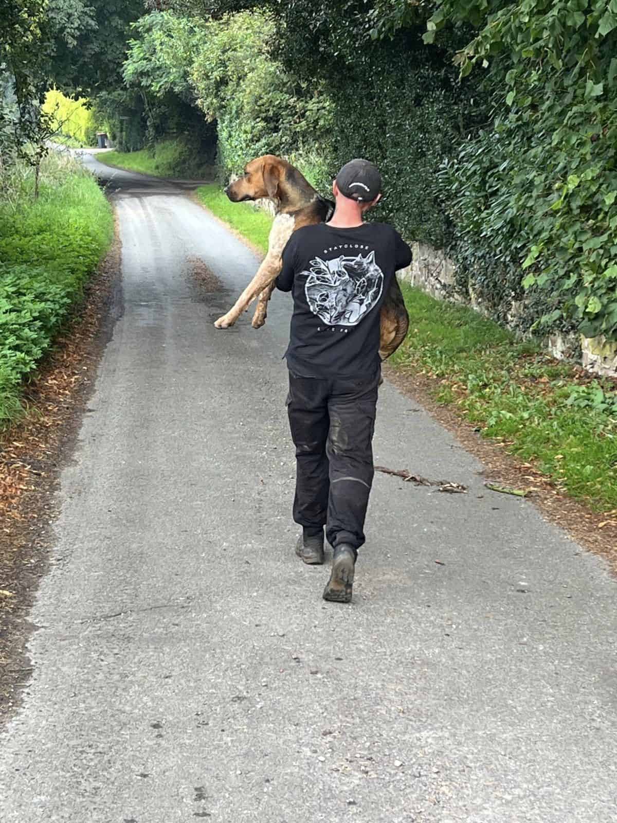 Late Season Cubbing - What Does It Look Like? - Hunt Saboteurs Association
