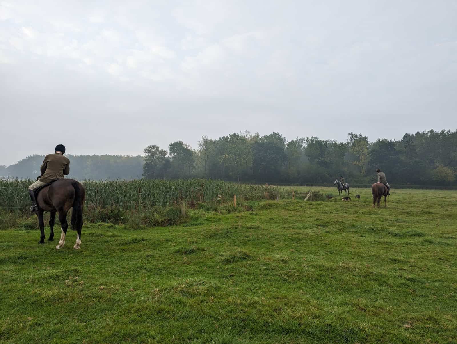 Late Season Cubbing - What Does It Look Like? - Hunt Saboteurs Association
