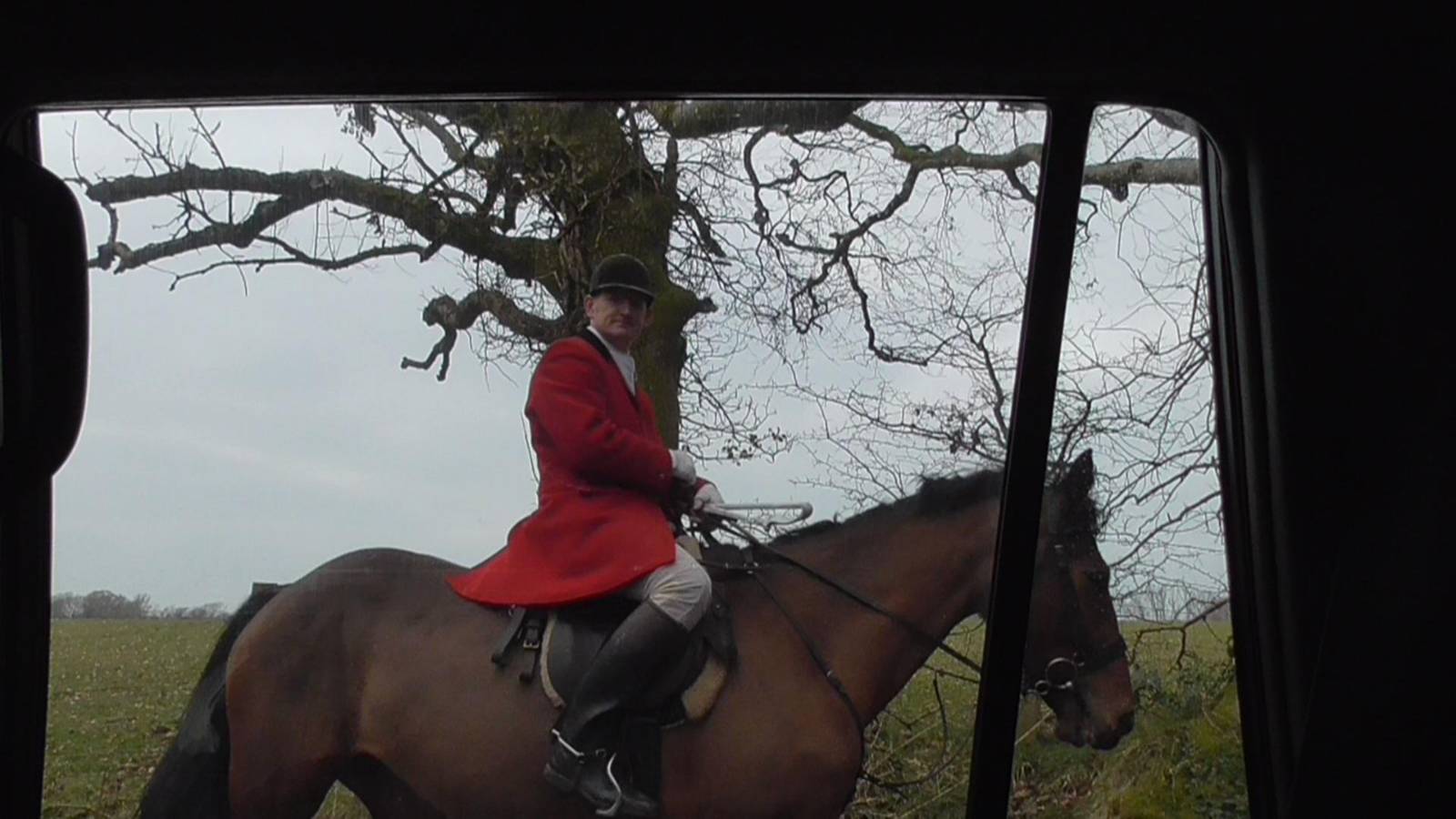 Guilty! Fox Hunter Sentenced For Multiple Animal Cruelty Offences ...