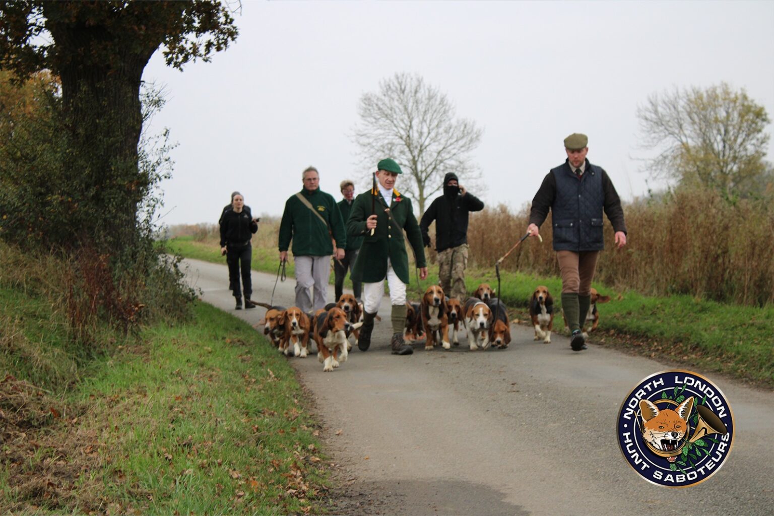 Spotlight On Hare Hunting - Hunt Saboteurs Association
