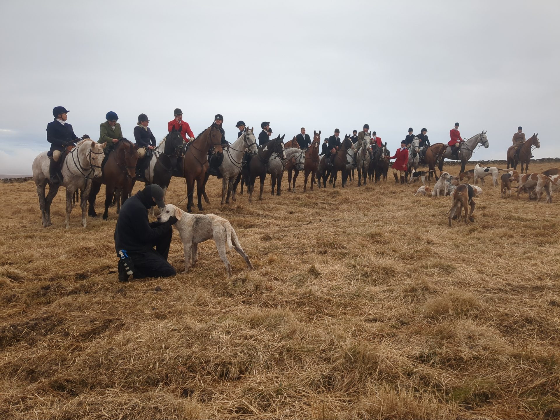 20 years later, they’re still hunting, so we’re still sabbing! - Hunt ...