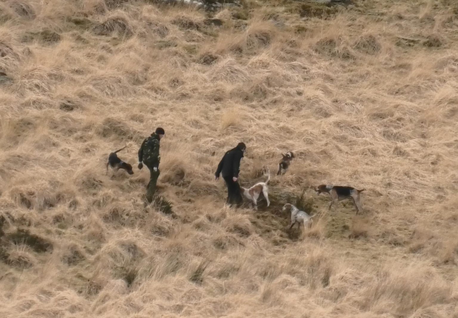 20 years later, they’re still hunting, so we’re still sabbing! - Hunt ...