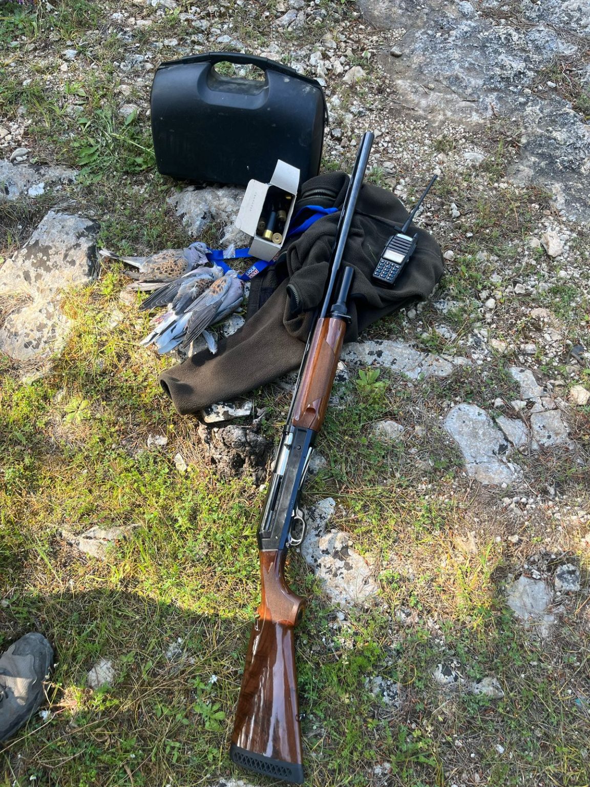 UK Hunt Sab In Ambush By Greek Shooters - Hunt Saboteurs Association