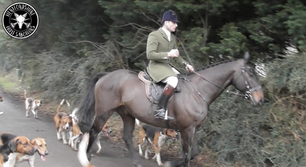 New Fox Hunting Season Sees Amalgamation Across the Nation - Hunt ...