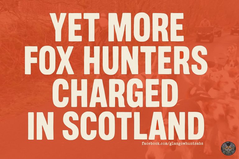 May 2025 Review: Convictions & Collapses - Hunt Saboteurs Association