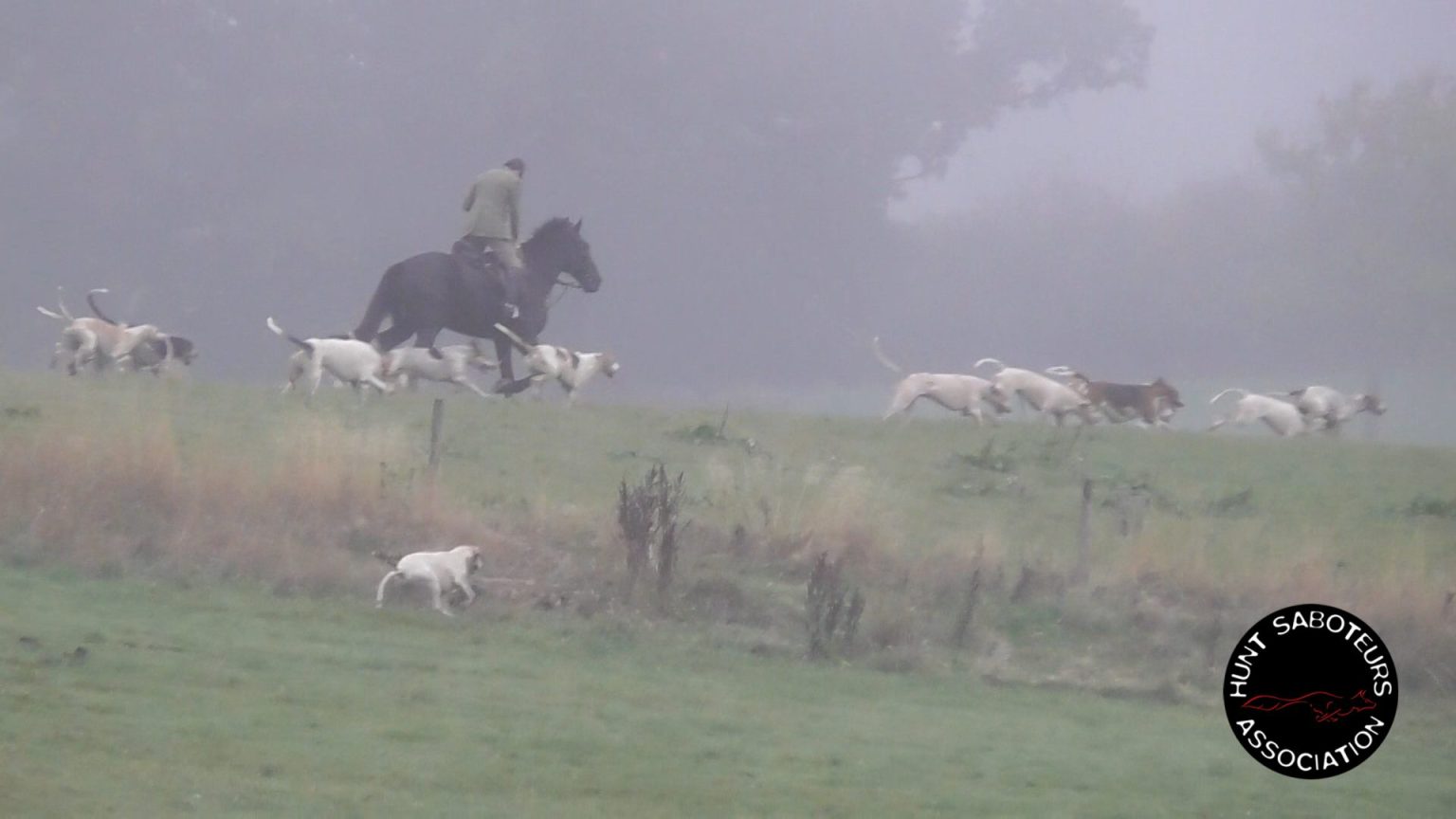 National Trail Hunting Day in Tatters As 'Host Pack' Causes Pile Up ...